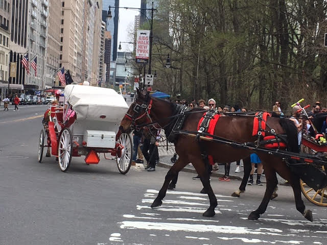 Carriage Horses - NYC: NYC CARRIAGE HORSE HACK LINES -- BOONDOGGLE OR ...