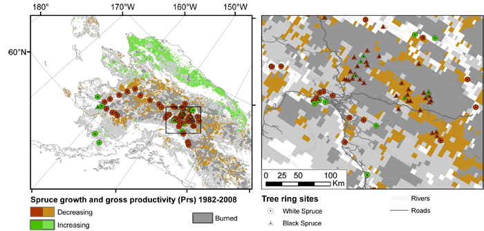 Carbon-Based: Biomes in Alaska shifting due to climate change