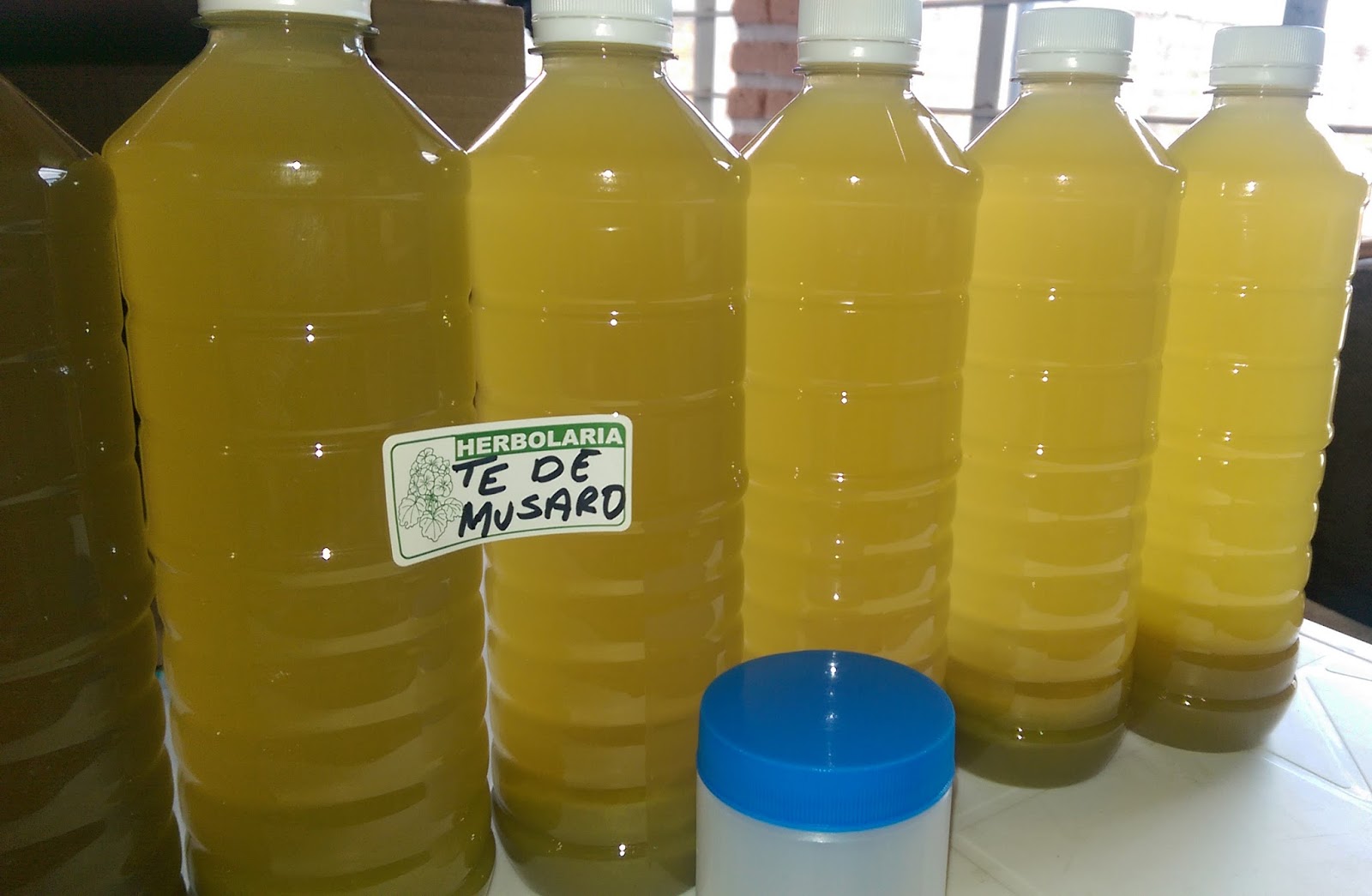 Combatir cancer y otras enfermedades con té de musaro: Donde Se Puede ...