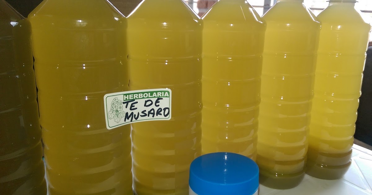 Combatir cancer y otras enfermedades con té de musaro: Donde Se Puede ...