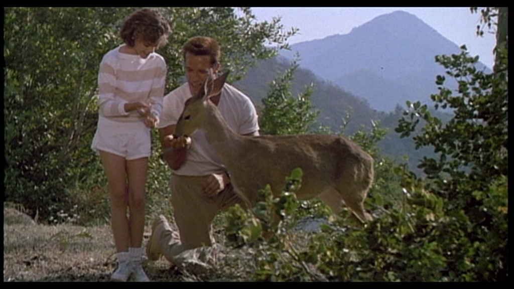 Movies, Films, Flicks...: Commando (1985)