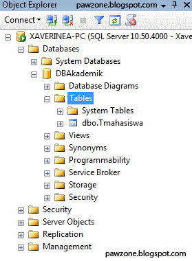 Membuat Databaset di SQL Server Management Studio 2008 ~ PAW | programming-animation-website