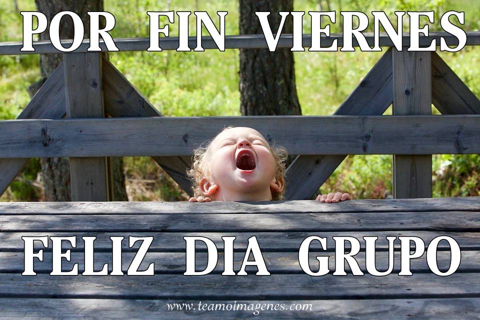 8 imágenes de feliz viernes GRUPO - Imágenes de Amor, Gatitos, Amistad ...