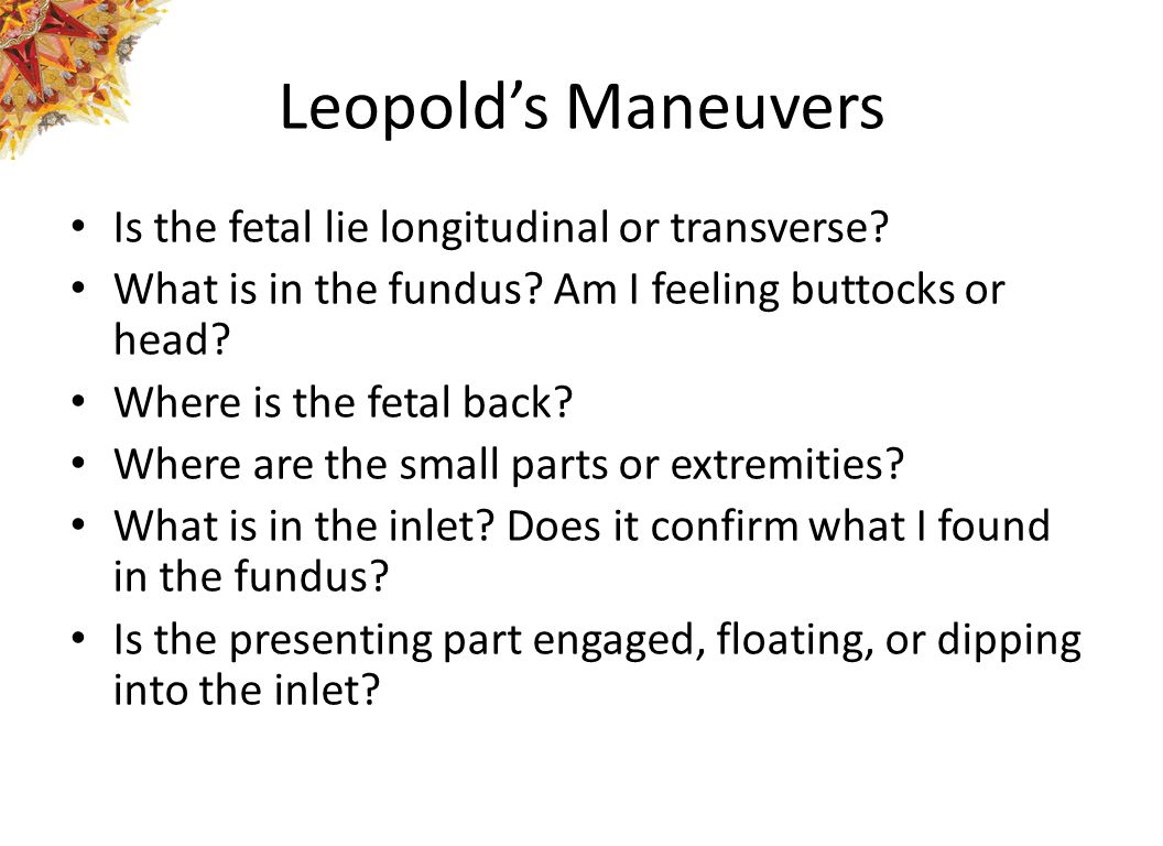 leopold's maneuver - philippin news collections