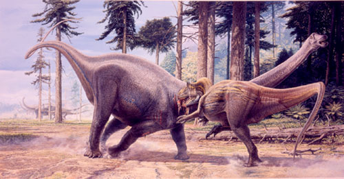 EL JOVE PALEONTÒLEG: Comportament dels Carnosaures.