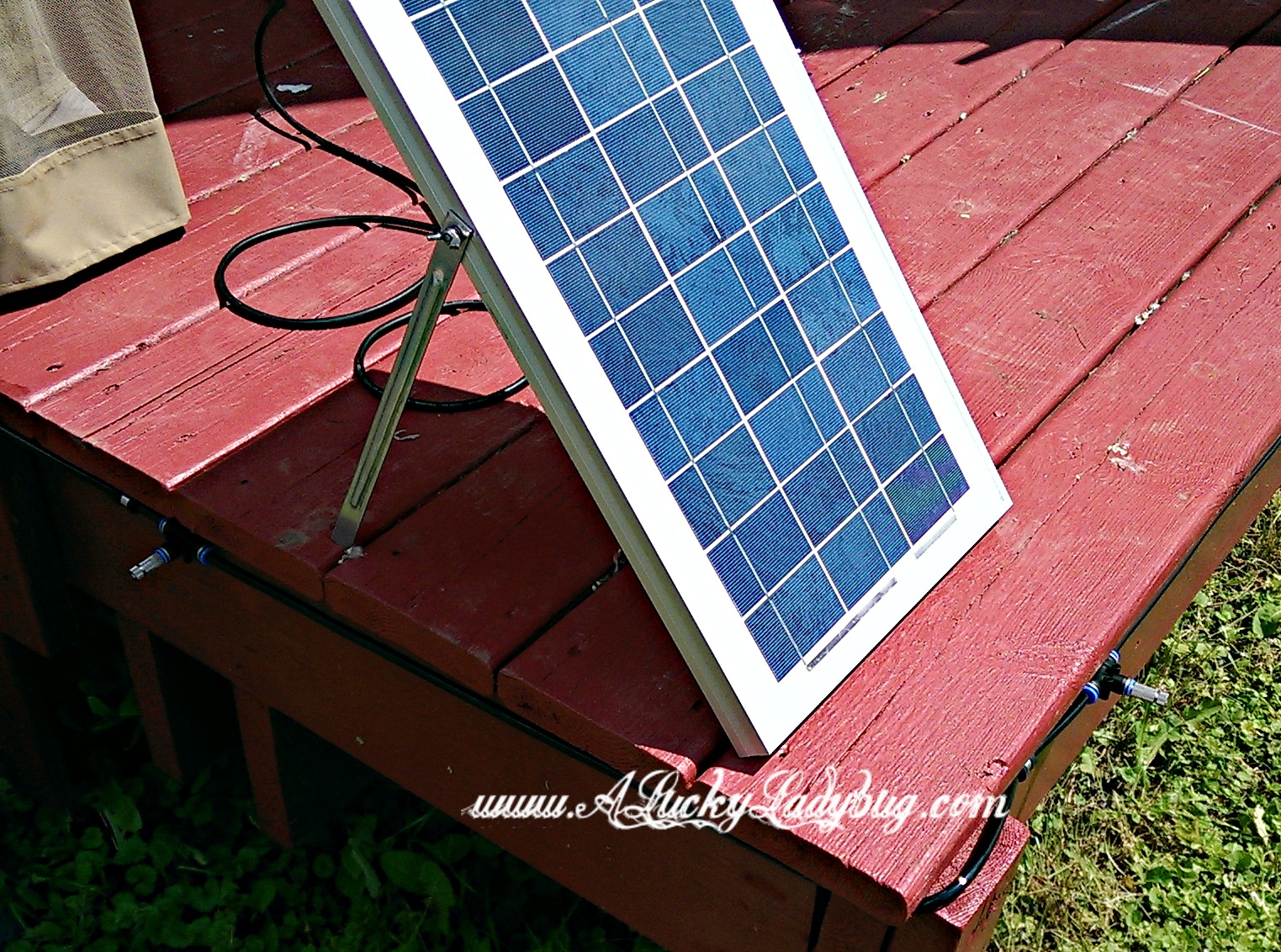 A Lucky Ladybug: SolaMist Mosquito and Insect Misting System from ...