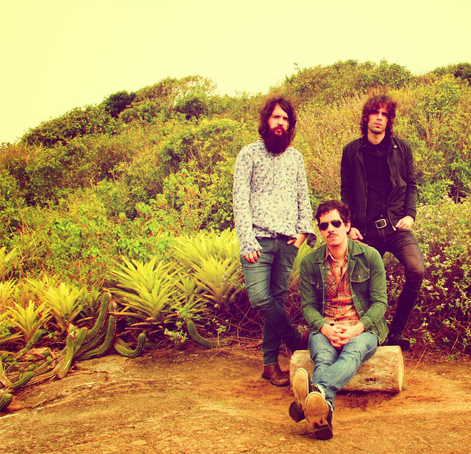 RETRO KIMMER'S BLOG: BLUES BAND FROM BRAZIL INSPIRED BY MUDDY WATERS...