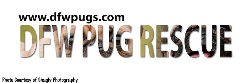 MONA, PRISSY and ANGEL WEENIE: Happy 14th Birthday DFW Pug Rescue