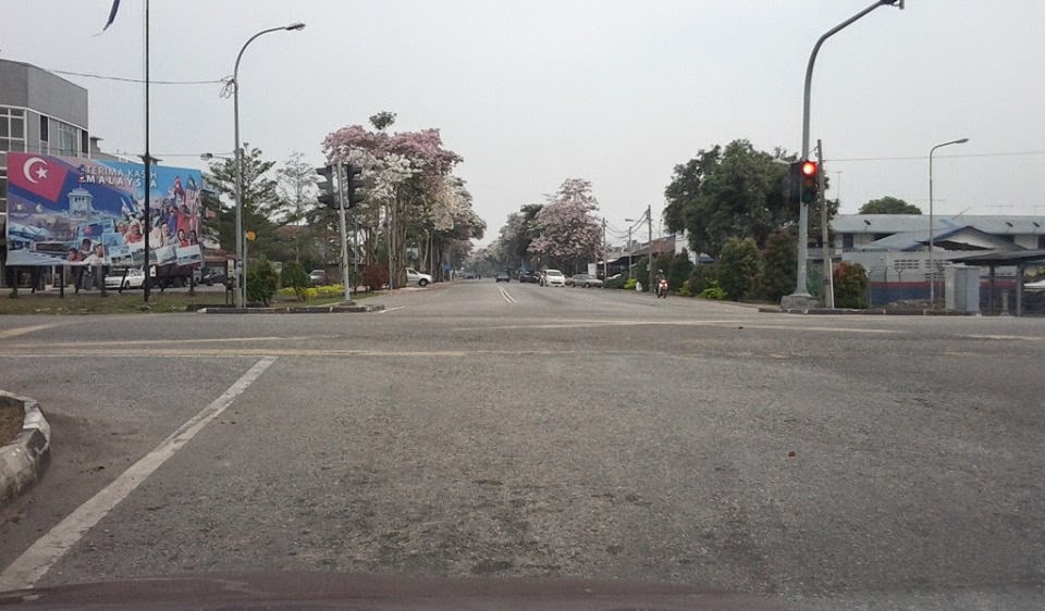 Blog Syanz-Aisyah: Musim Tekoma Di Pekan Benut.