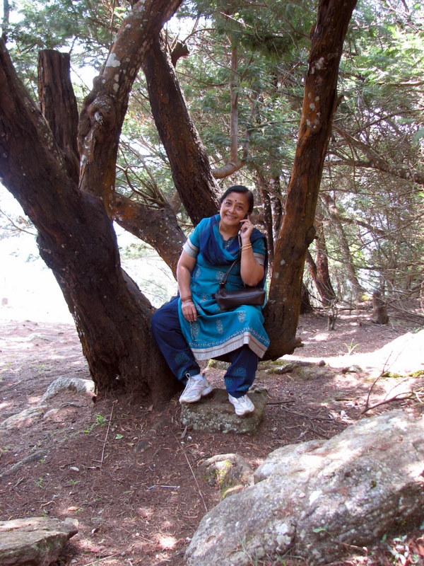 Kodanad Jayalalitha House Photos 10 Photo Art Inc Kodanad jayalalitha ...