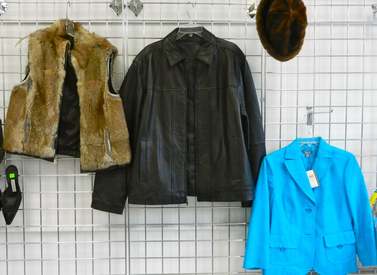 Goodwill Hunting in St. Louis - Economy of Style