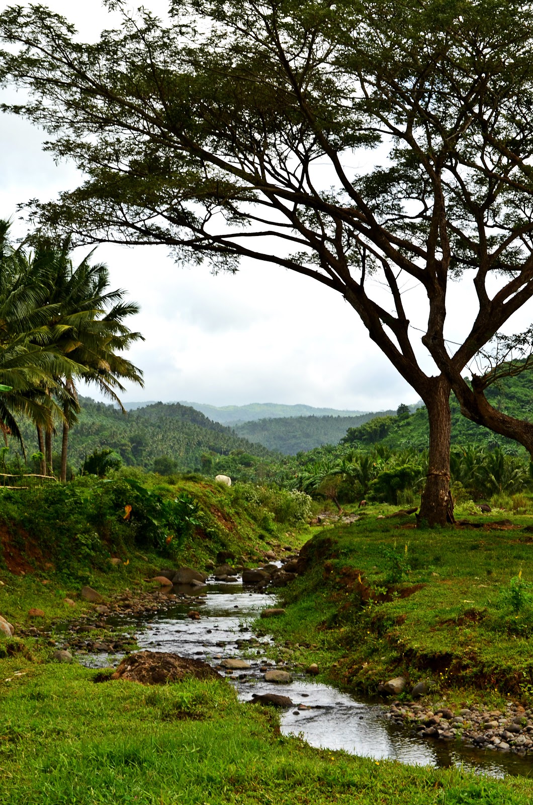 10 Things I Like about Bagumbayan