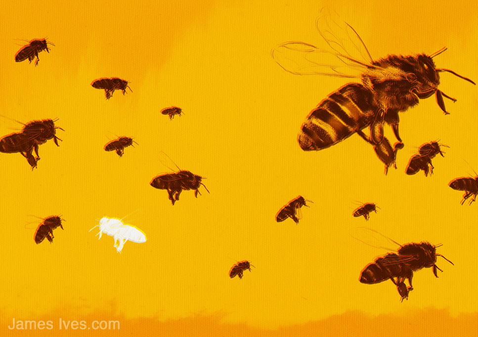 James Ives: A Brave New World...