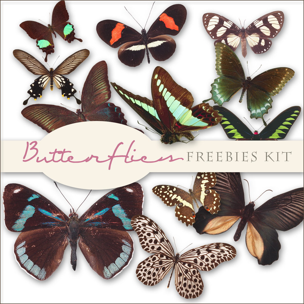 Scrap. DOT: Freebies Butterflies Kit - III part