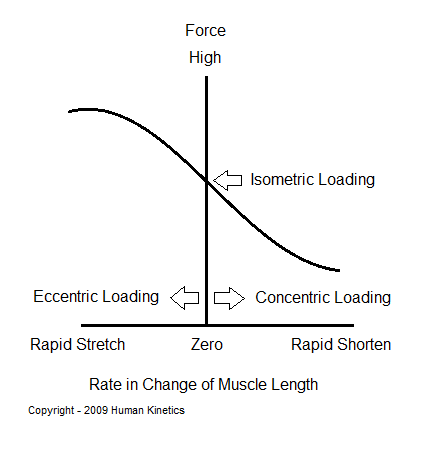 Kinesiology: Cryotherapy and Inflammation