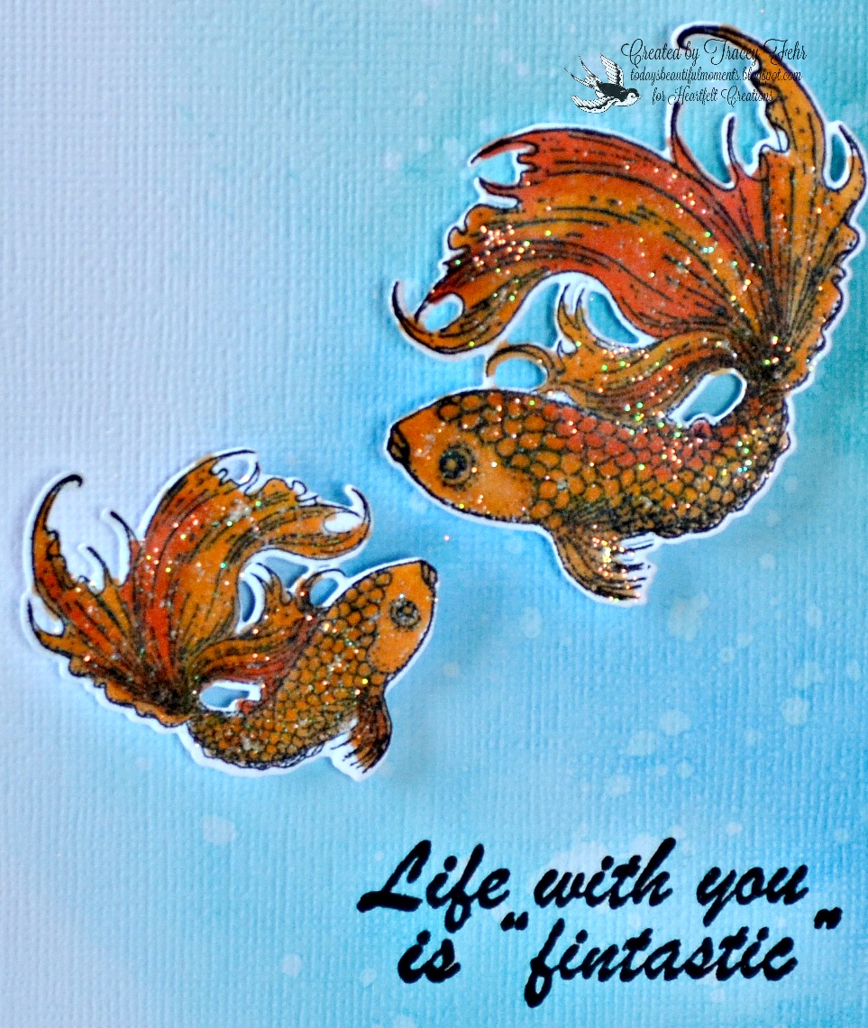 Fintastic Life... - Today's Beautiful Moments...Tomorrow's Beautiful ...