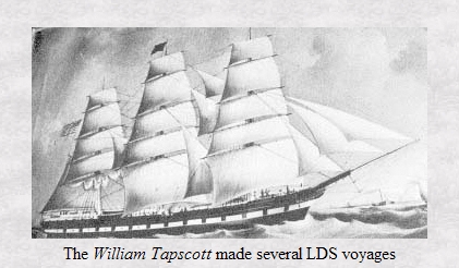 Stems, Branches, and Seeds: I Saw Four Ships Come Sailing In