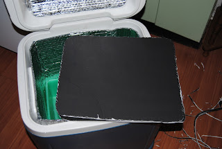 Two Dogs and a Single Life: Cube Cooler Cover