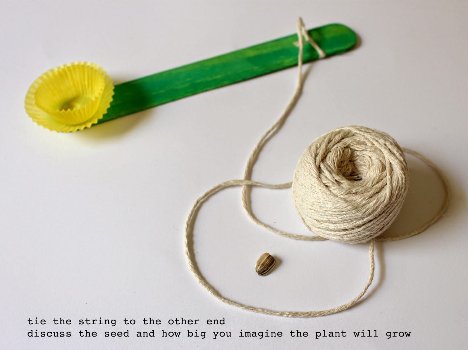 The Academy of Gentle Arts: plant measuring stick