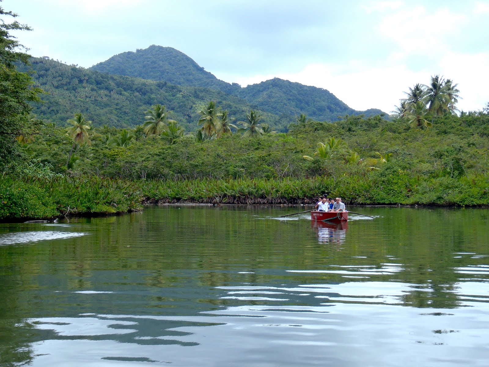 Faraway: Indian River Dominica