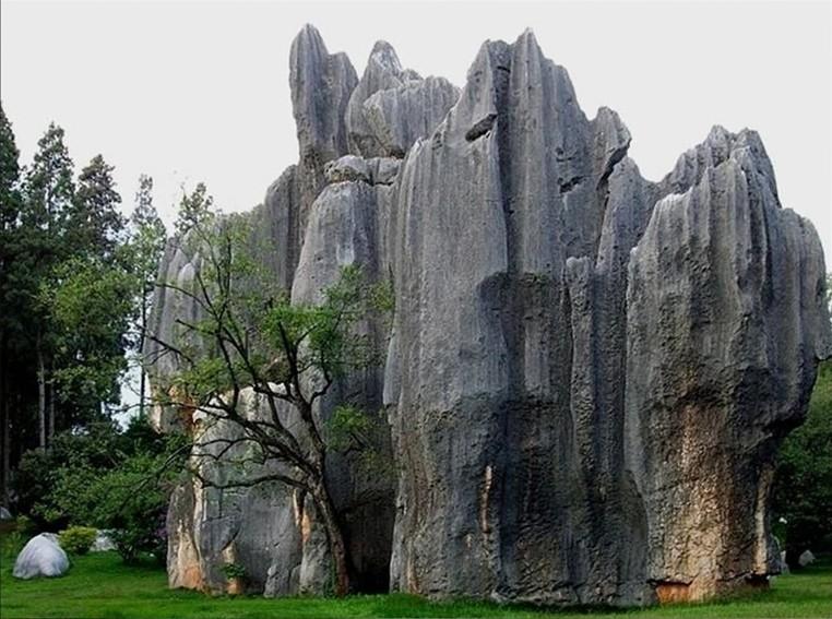 MD.KomalPrakash: stone forest