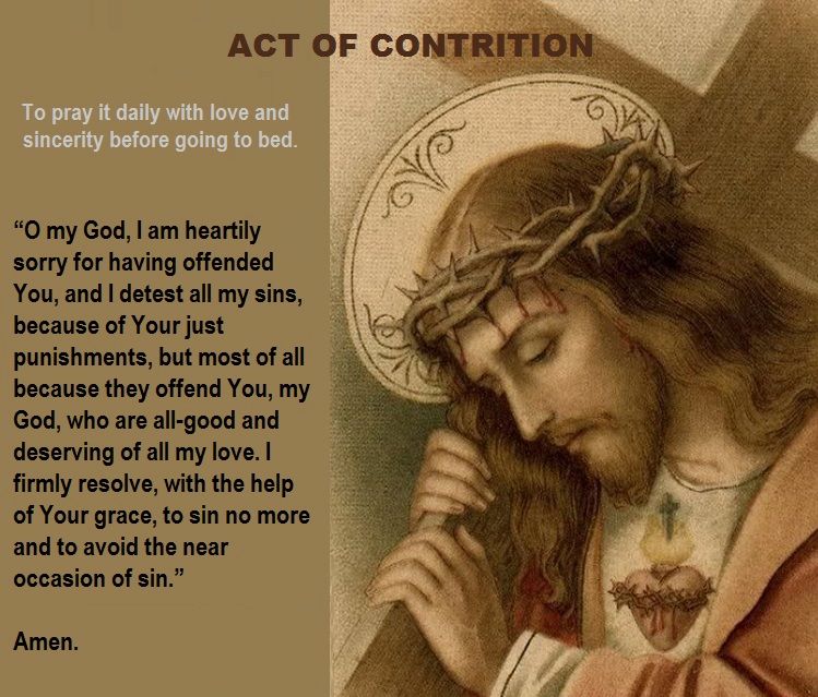CATHOLICITYBLOG: Act of Contrition To Pray Every Night Before Going To ...