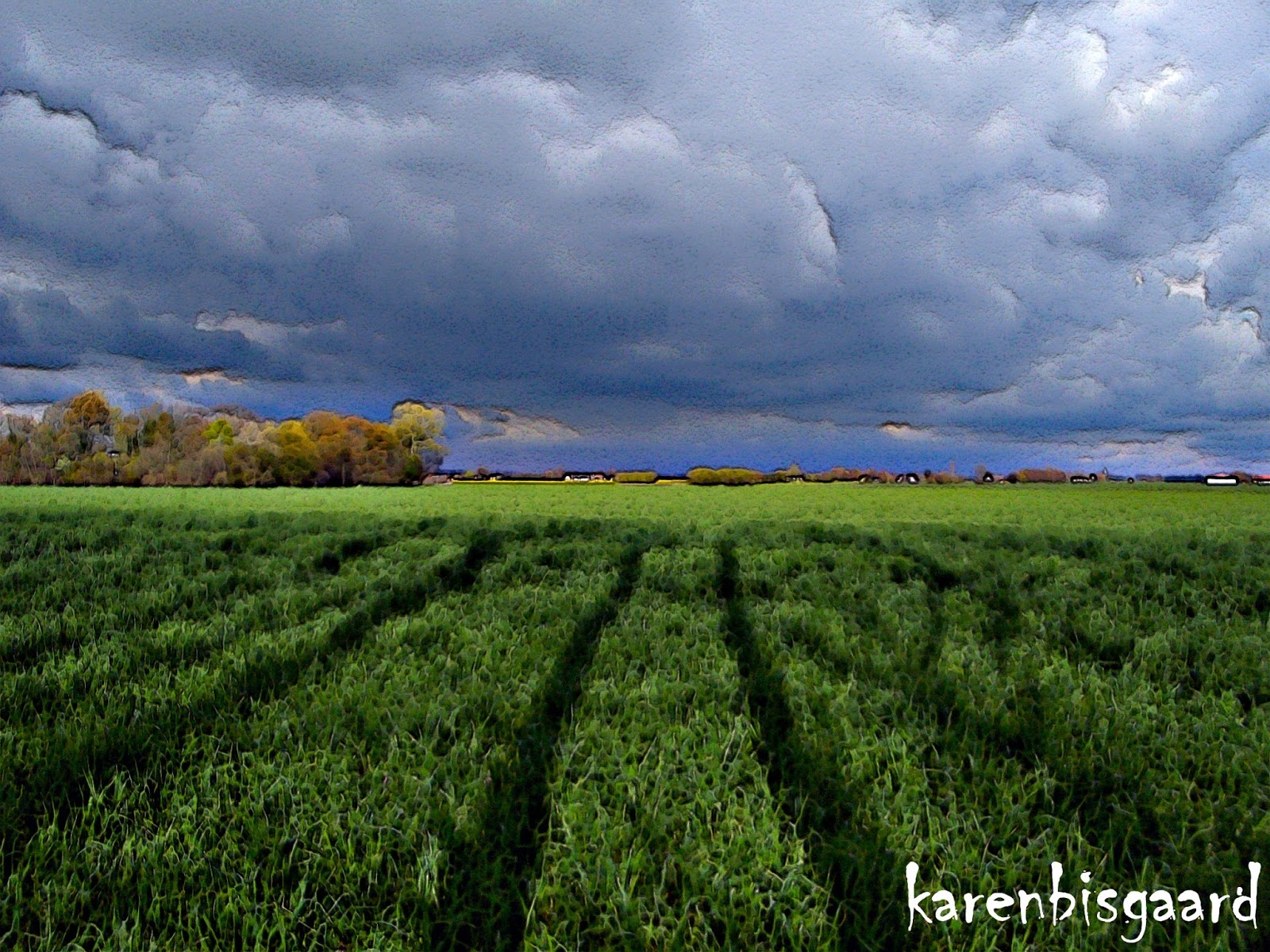 Karen`s Nature Photography: Heavy Clouds Above Long Shadows in Crop.