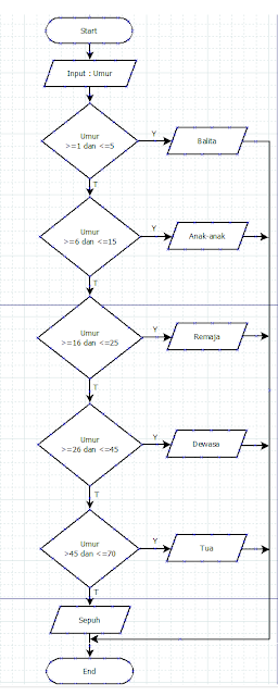 flowchart menentukan nilai mata kuliah dan flowchart menentukan umur ...