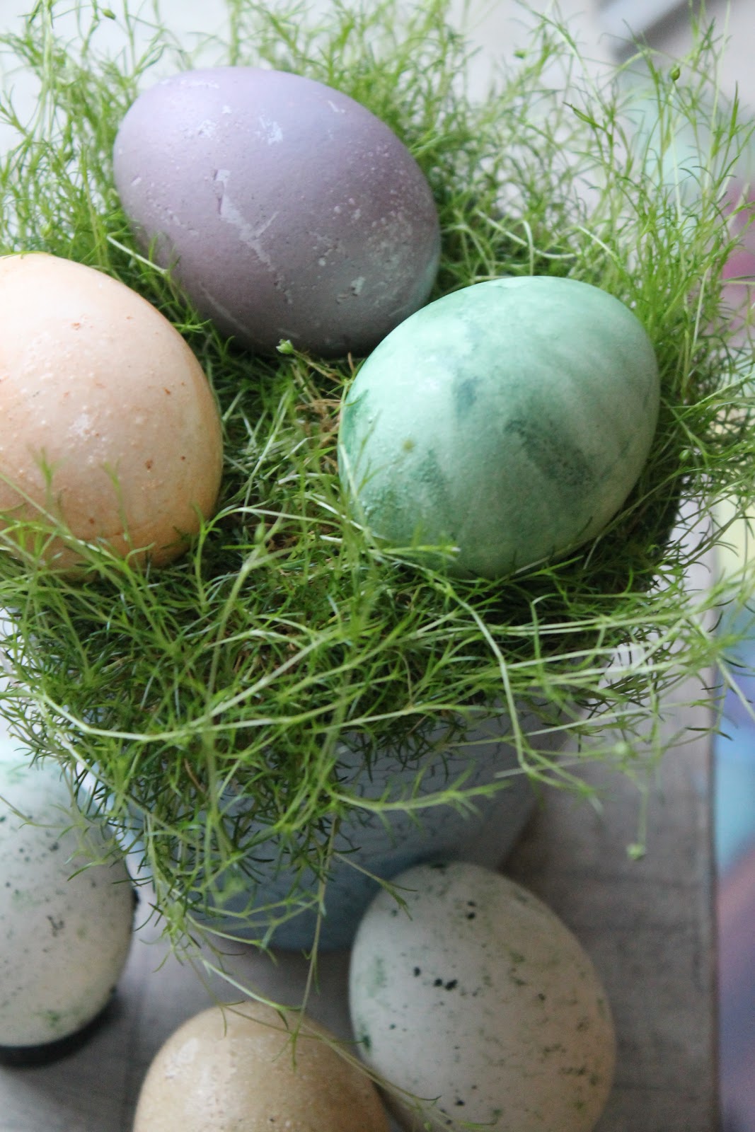 Seeking Eco-Chic: Natural Color Eggs