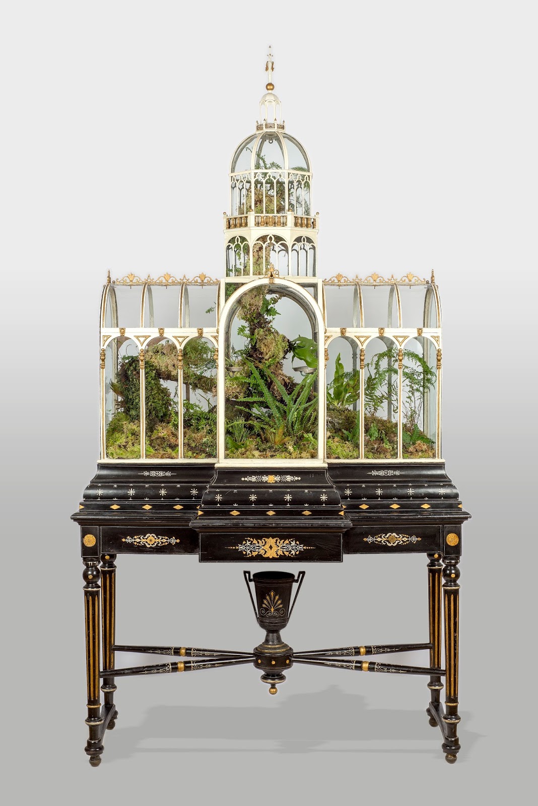 Friends of Glasgow Museums: The Wardian Case at GOMA