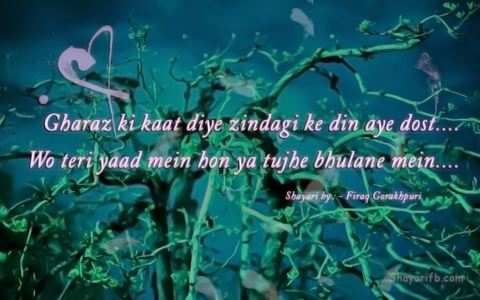 Dard shayari on teri yaad mein wallpapers|Love Shayari and Sad Shayari