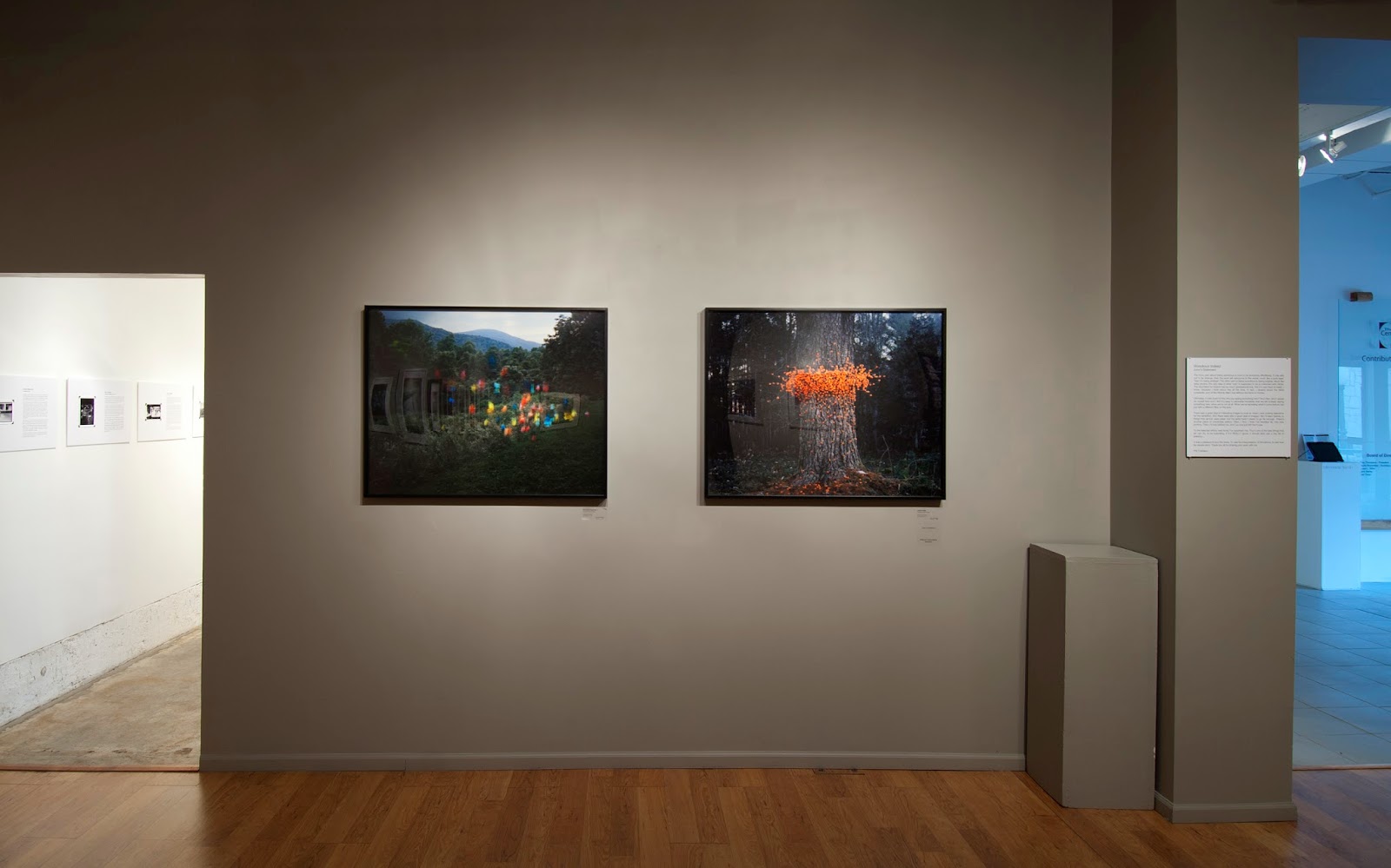 Thomas Jackson Photography: February 2014