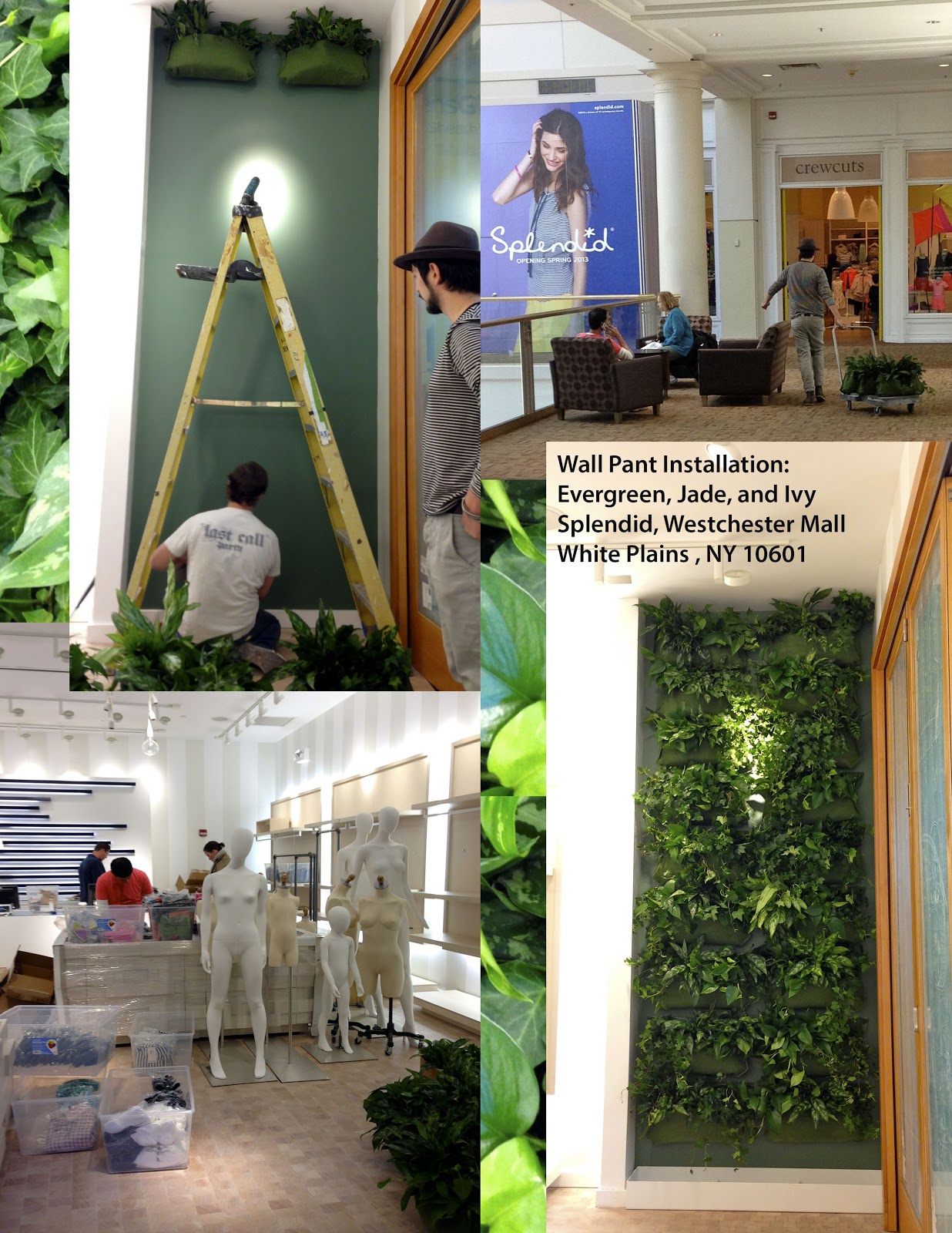 Daily dosage of COLOR: Wall of Woolly Pockets