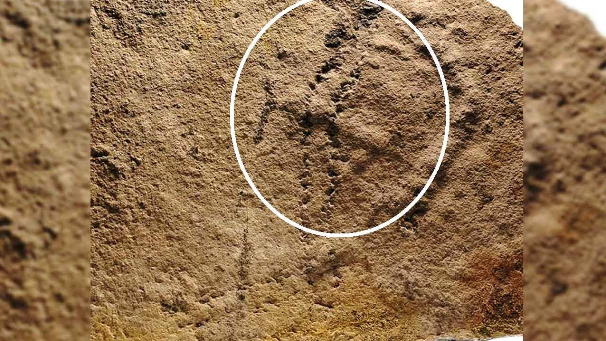 Scientists Discover 'Oldest Footprints on Earth' | Geology In