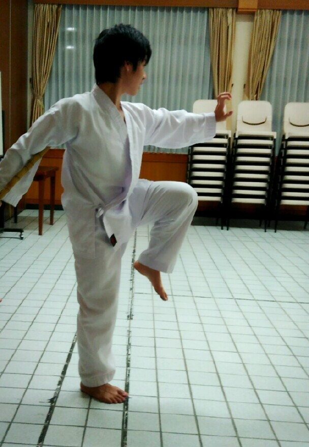 Sekantung Pelangi: Southern Fist : Nan Quan ( 南拳 )