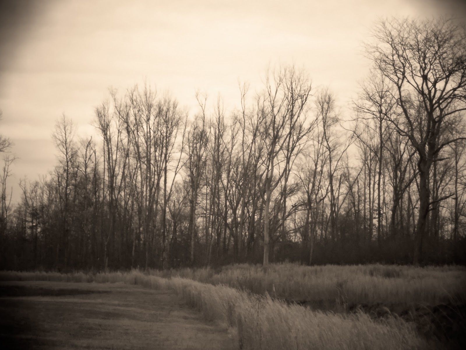 "Capturing" Knowledge in Spotlight: Out and About