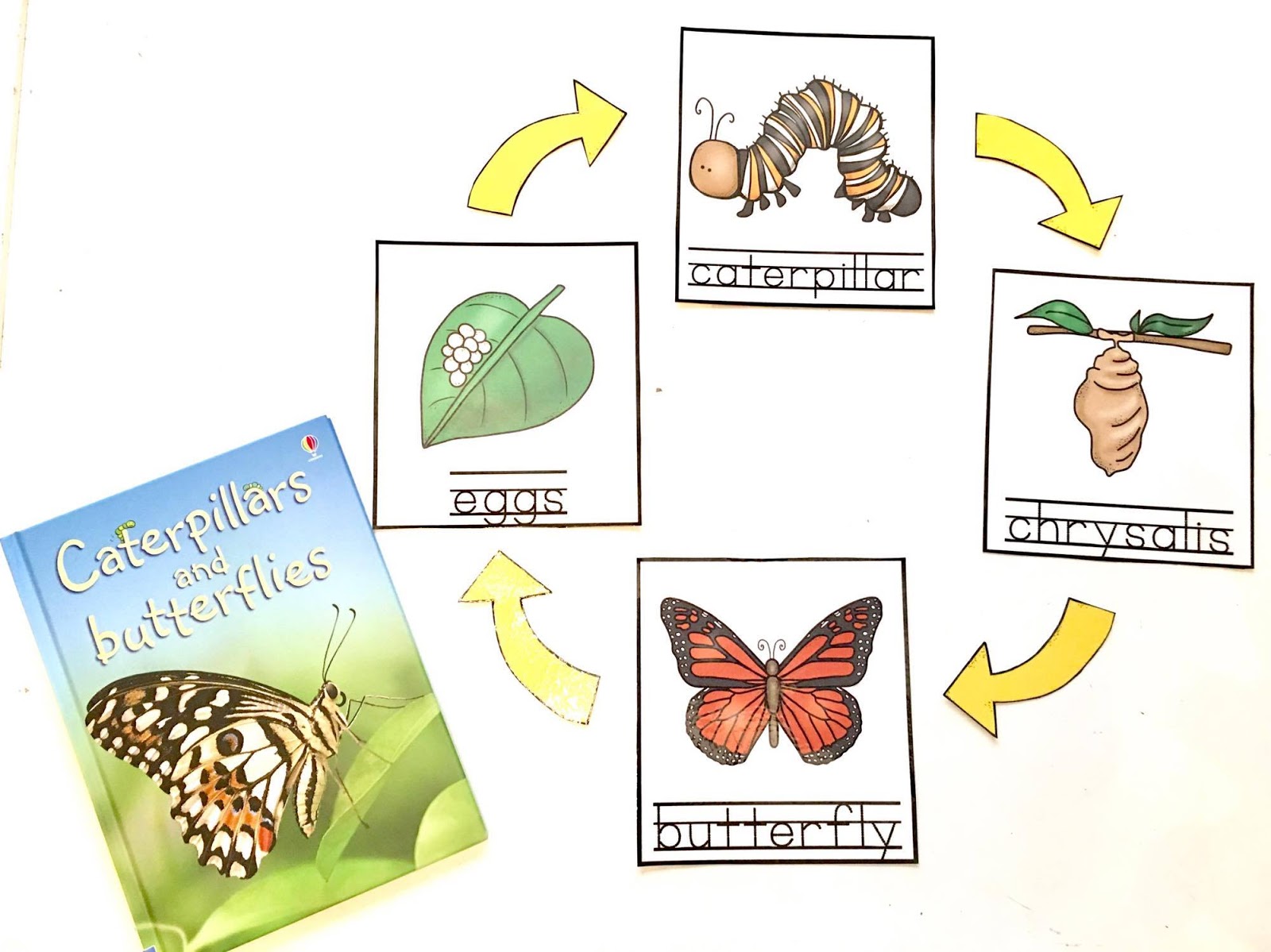 Our Perfect Preschool Intro To The Butterfly Life Cycle Buck Chuck our-perfect-preschool-intro-to-the-butterfly-life-cycle-buck-chuck
