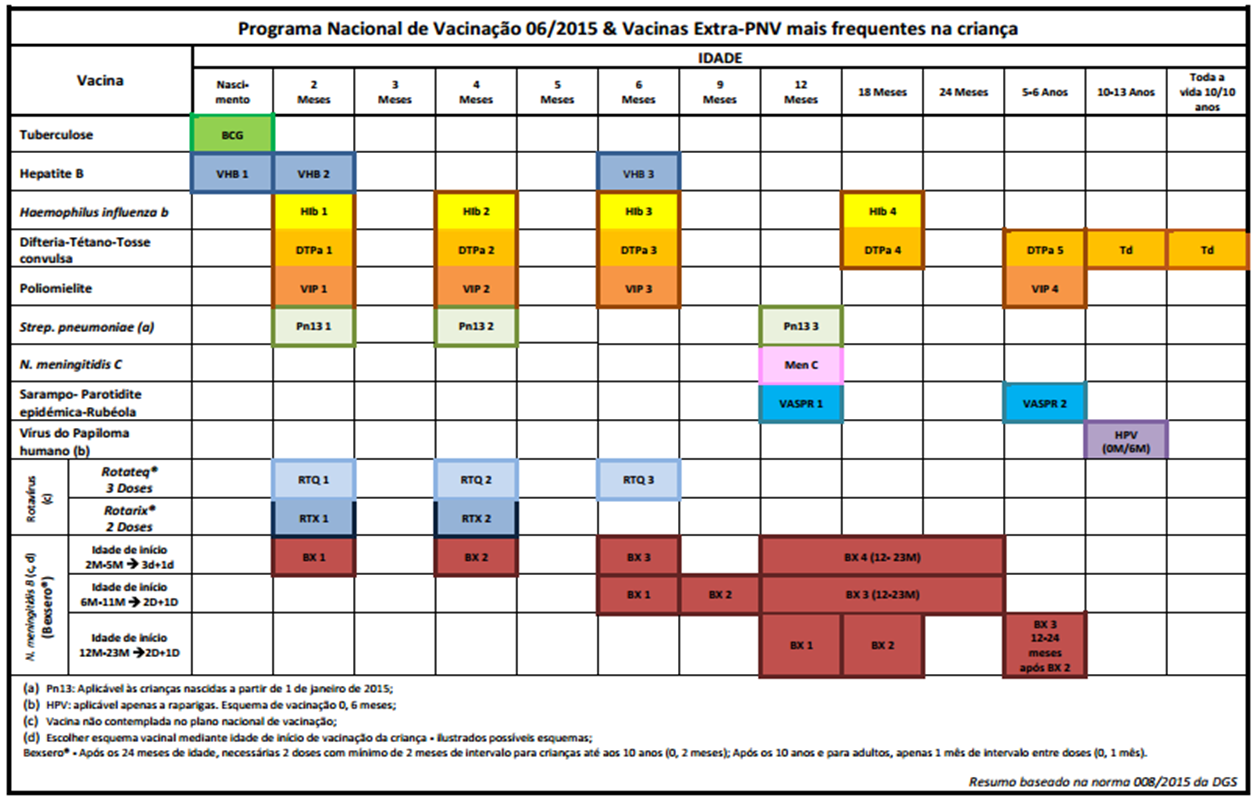 Blog com Saúde: Plano Nacional de Vacinação: Esquema recomendado e ...