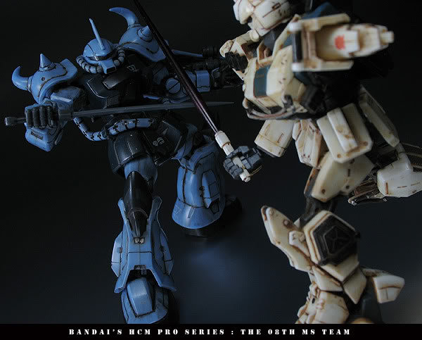 HCM Pro 08th MS Team photographs and digiramas part 2