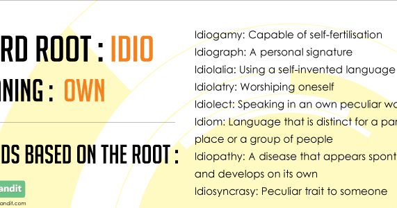 EXAMS AND ME : Idiosyncrasy