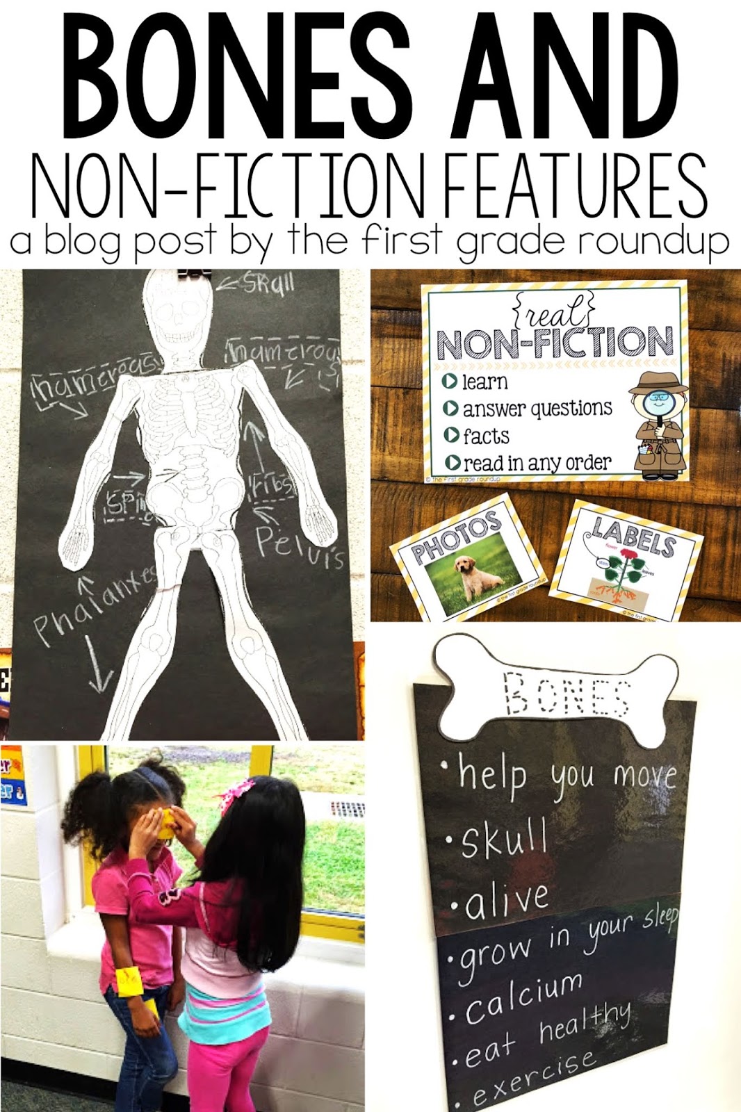 Halloween Science with non-fiction text features & skeleton puzzles ...