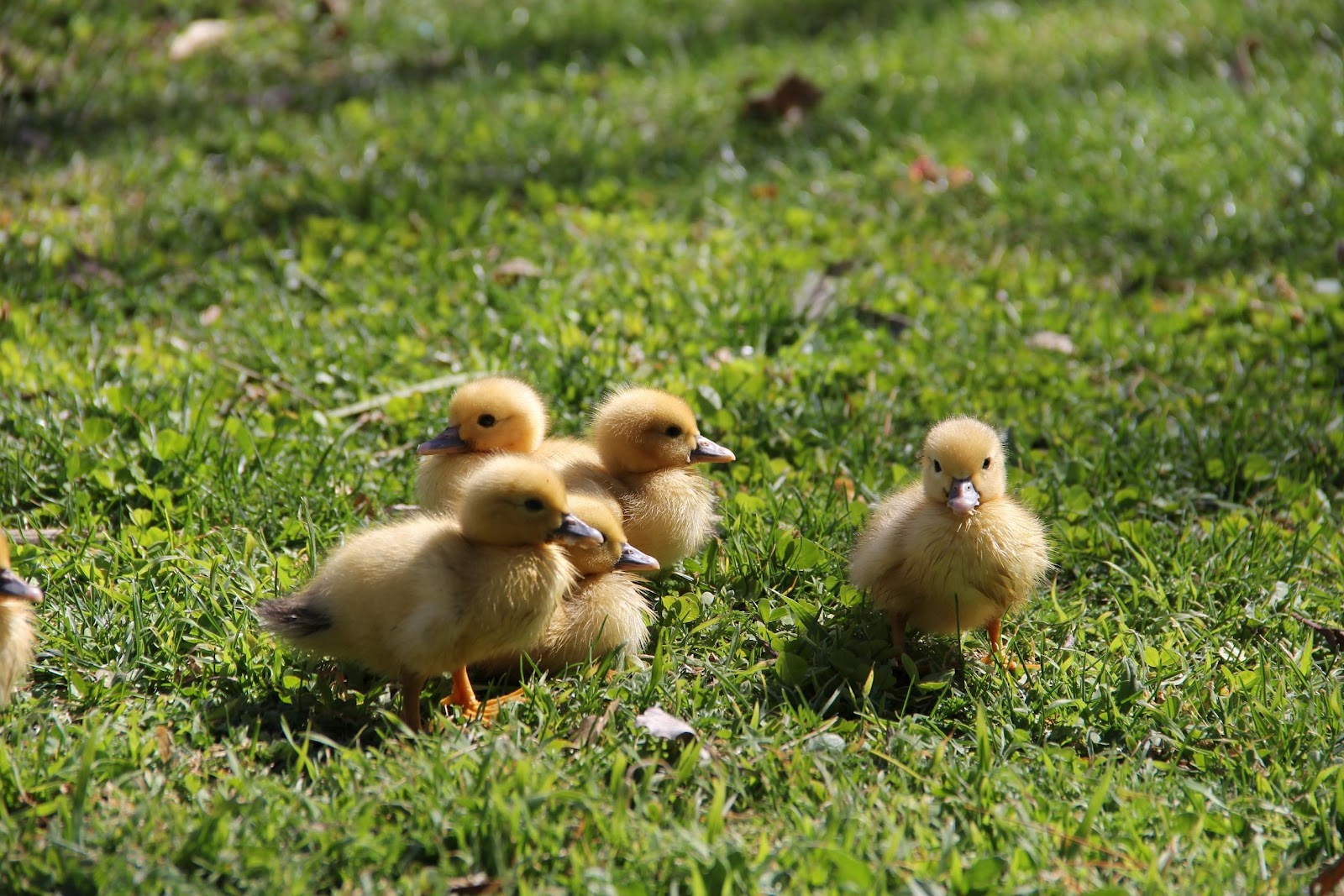 FOTOS JM.G: 04/28/12