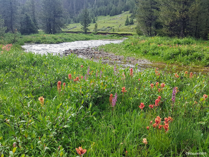 Allsop Lake or 'All Slop' Lake? A weekend well spent. | Backcountry Post