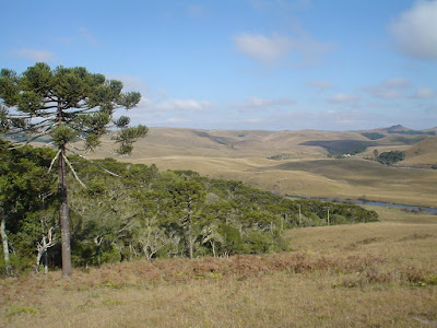 Ciencias Naturales: Selva Seca.