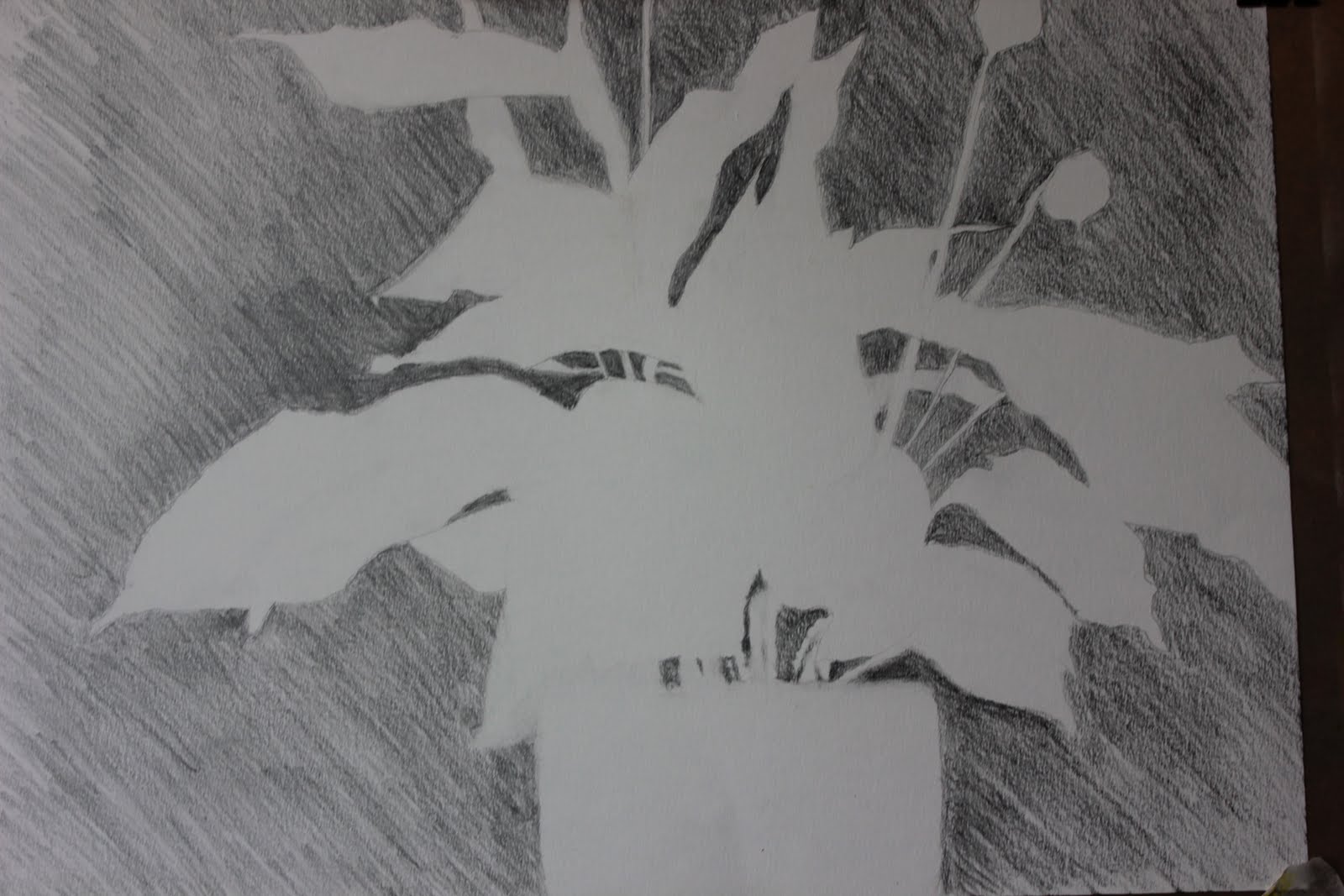 Negative Space Drawing Plants
