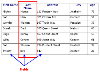 Year 10 IST Blog: Database Definitions