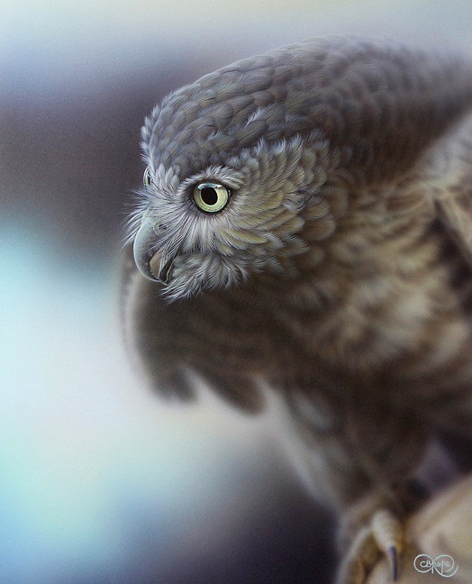 7 das Artes: As incríveis pinturas de Christopher Pope.