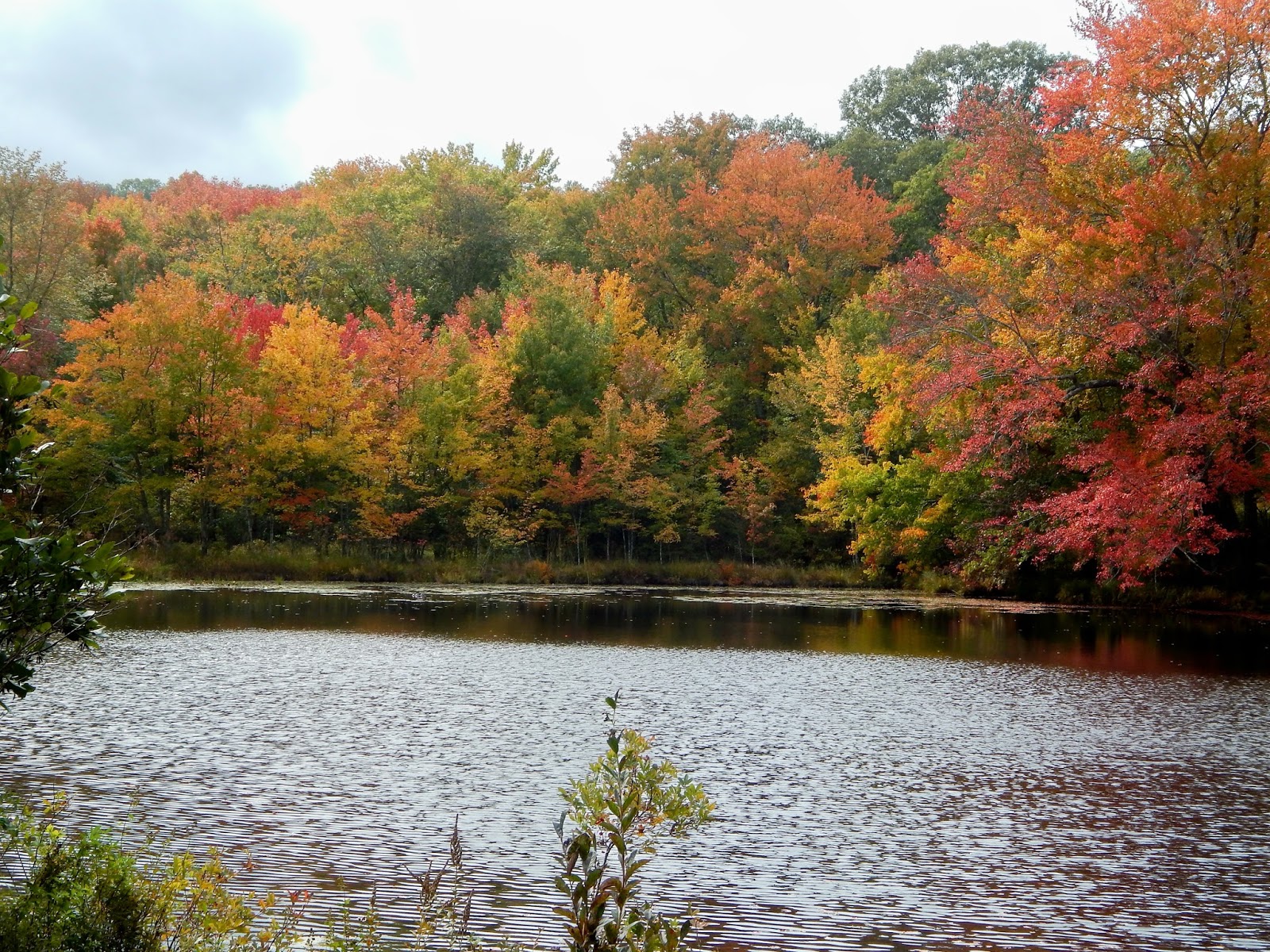 Small Stream Reflections: Rock Walls, Small Streams, Brook Trout ...