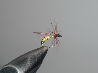 Megan- muste artificiale: Muste uscate -furnica pentru pastrav si lipan.