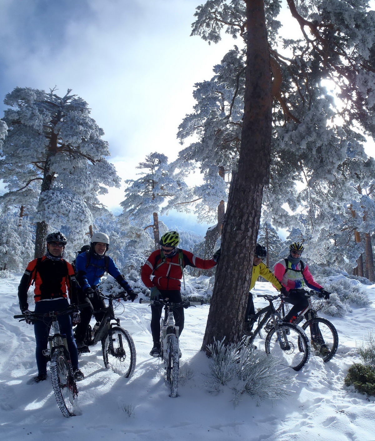 El Sherpa Loco: Más fresquitos que Walt Disney